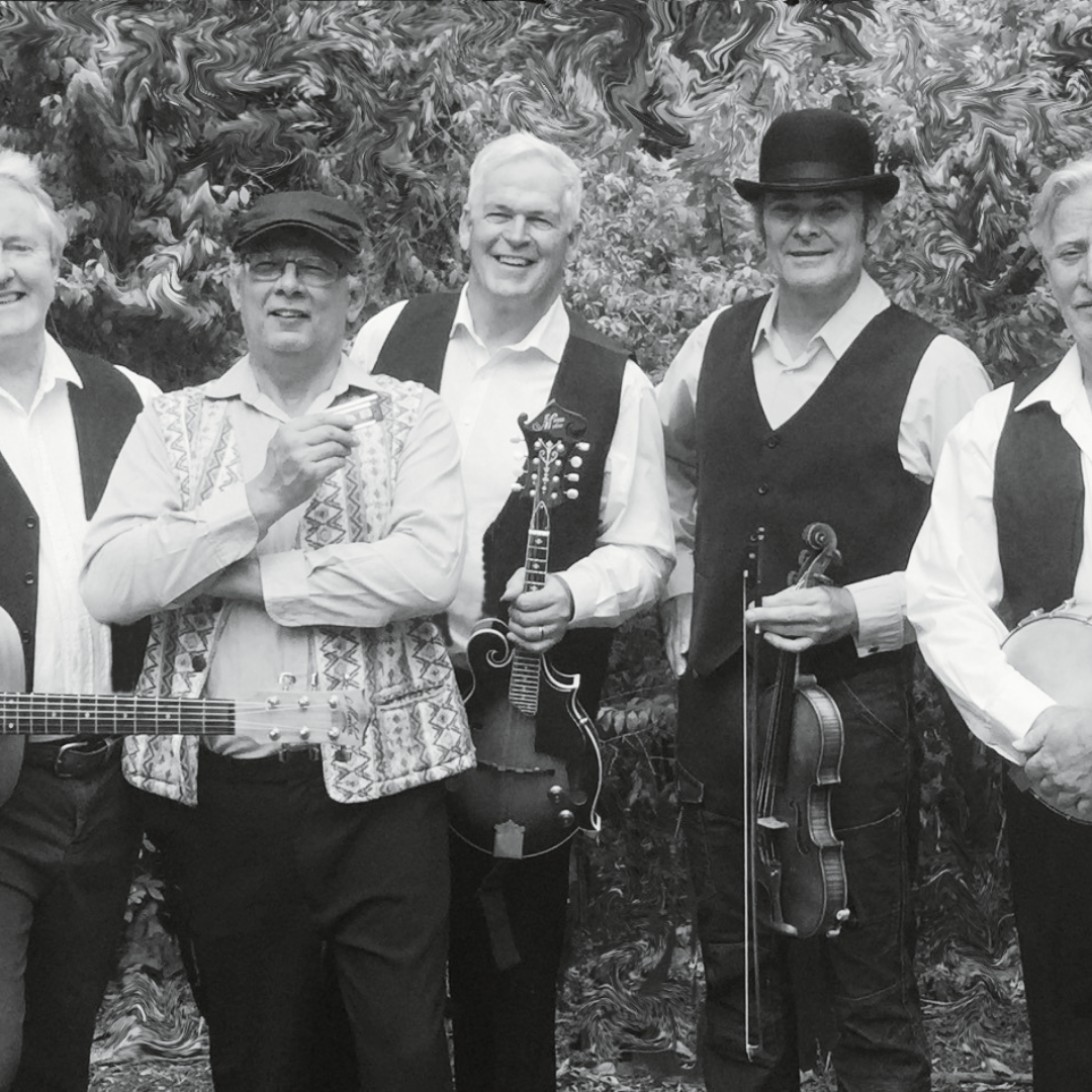 The Life of Reilly Band | The Pushworth Group